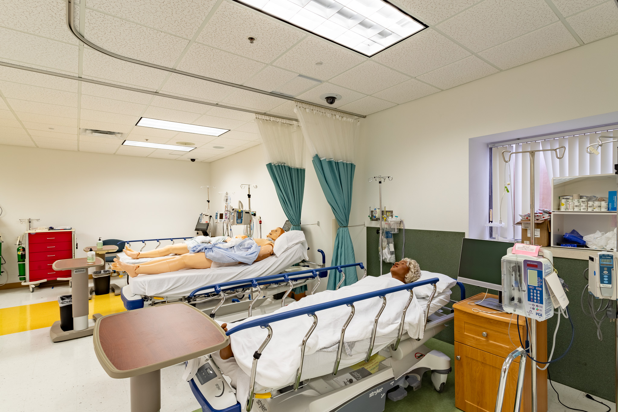 University of Texas Health Science Center – Ford AV