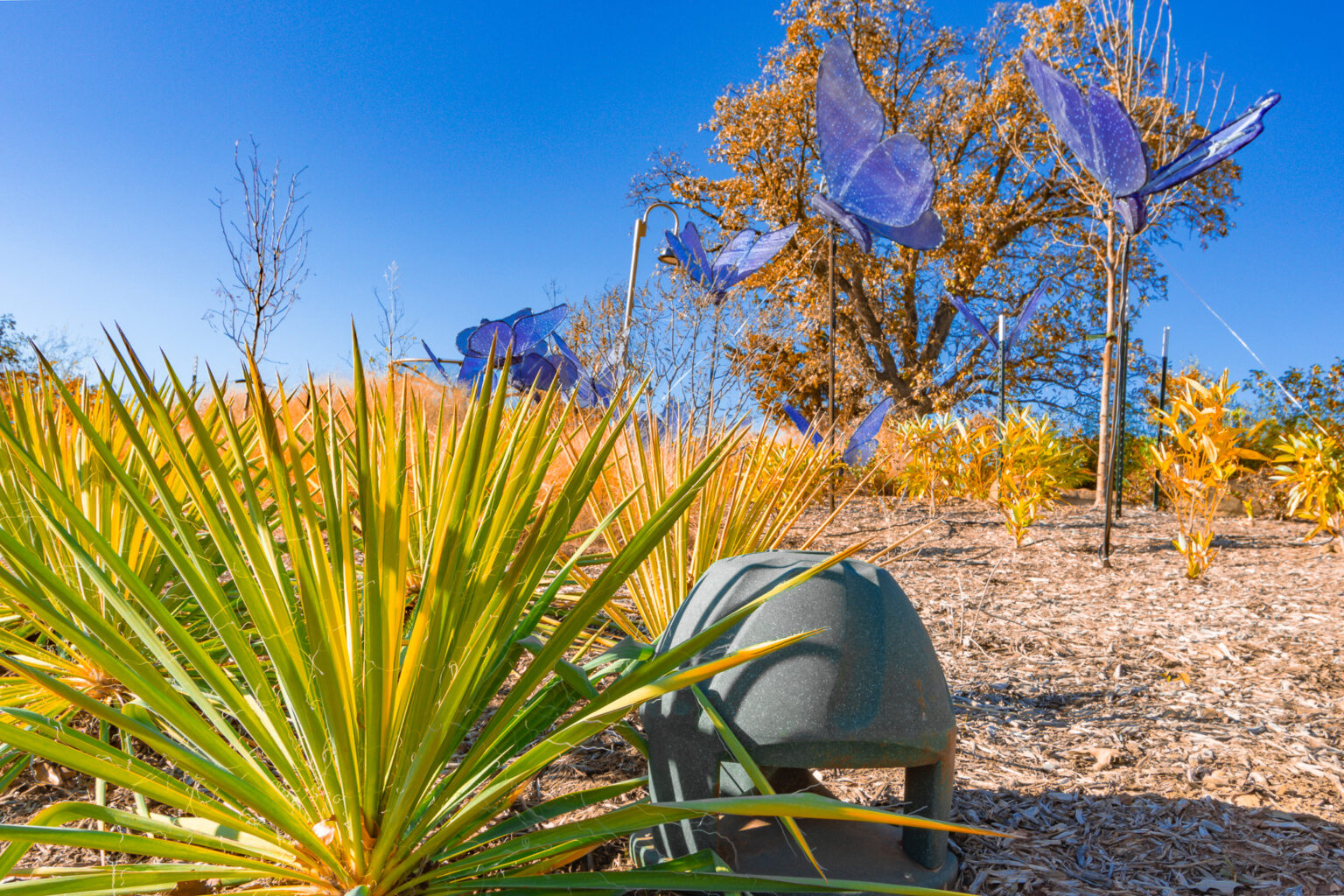 Oklahoma City Zoo – Ford AV